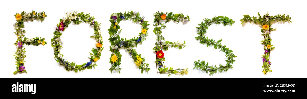 Flower And Blossom Letter Building Word Forest Stock Photo - Alamy