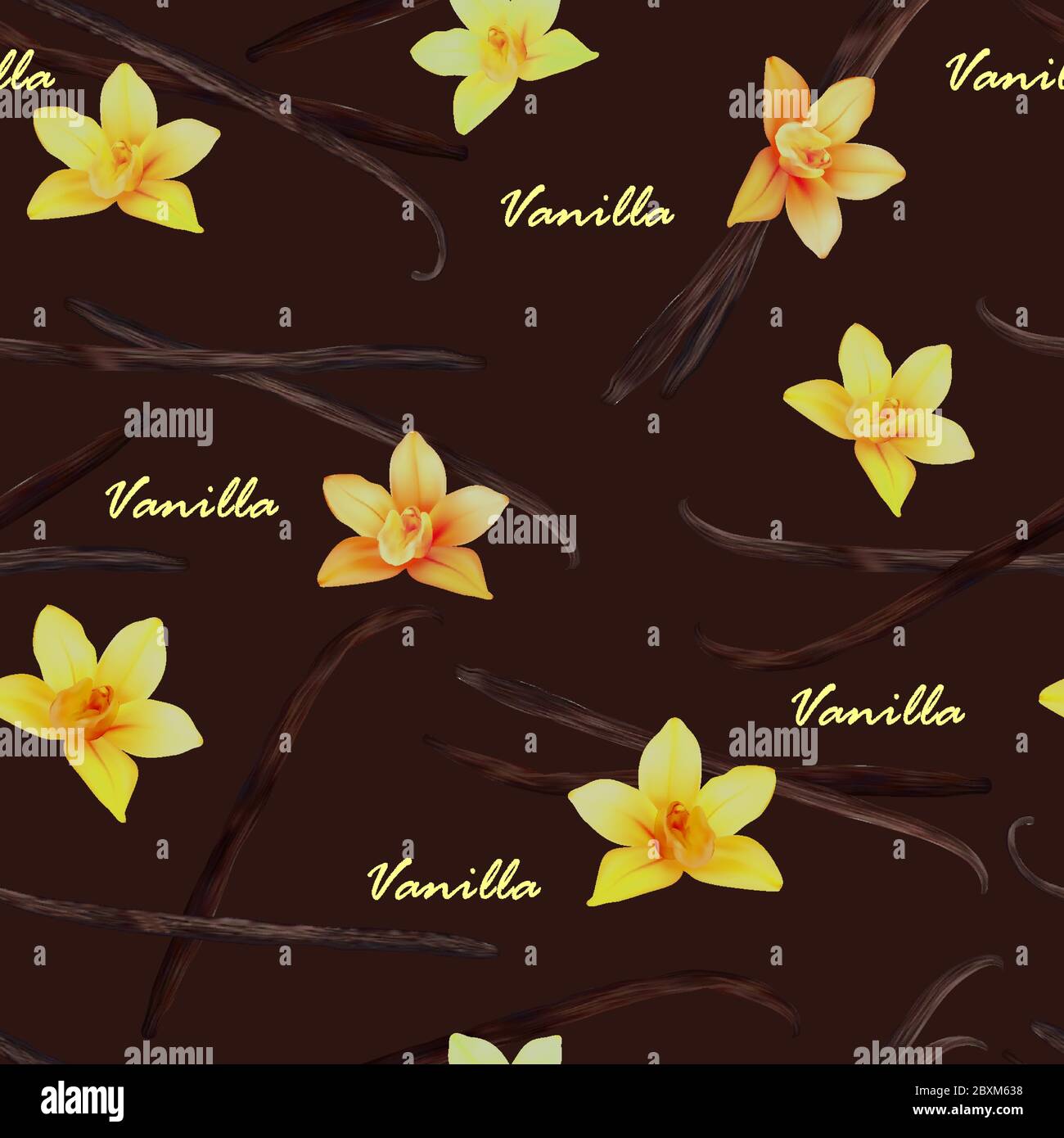 Seamless pattern with vanilla.Realistic vanilla flower and pods, vector ...