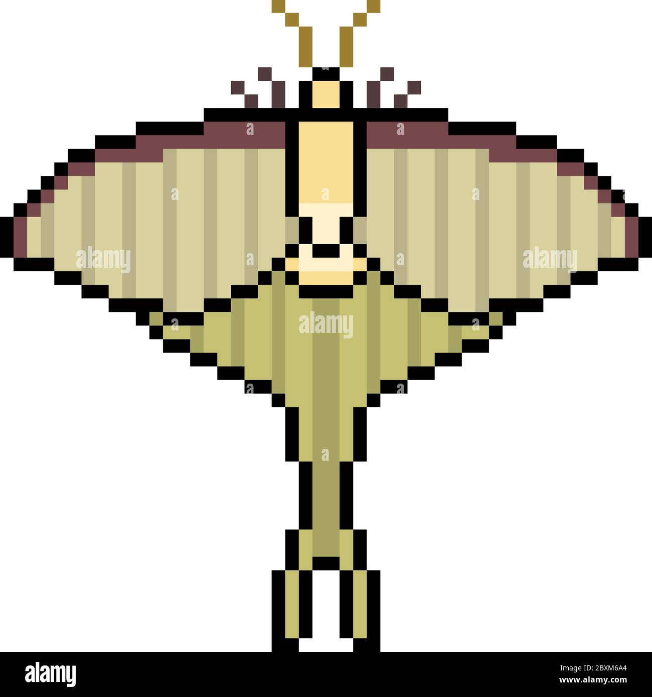 Insect pixel Cut Out Stock Images & Pictures - Alamy