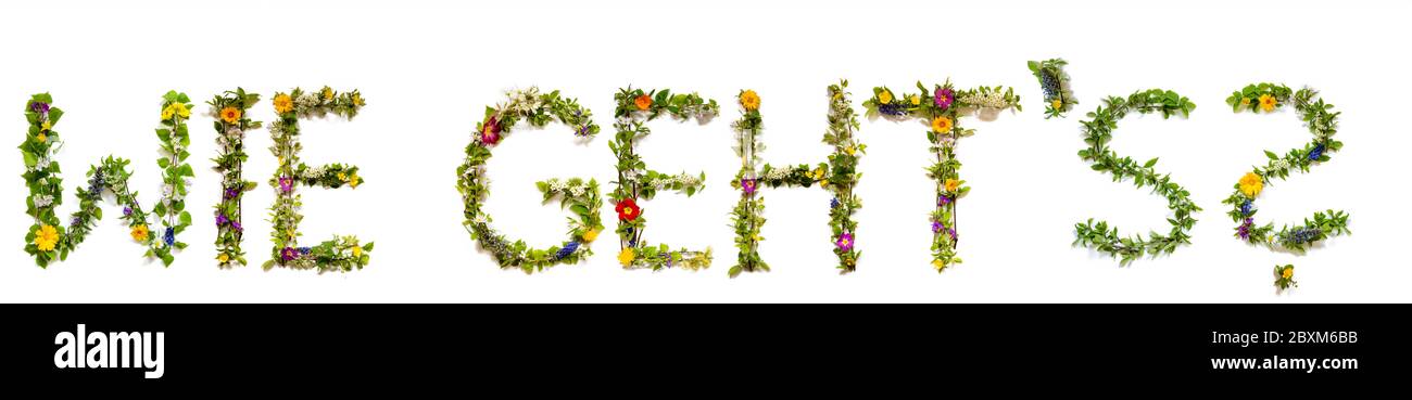 Flower And Blossom Letter Building Word Wie Gehts Means How Are You ...