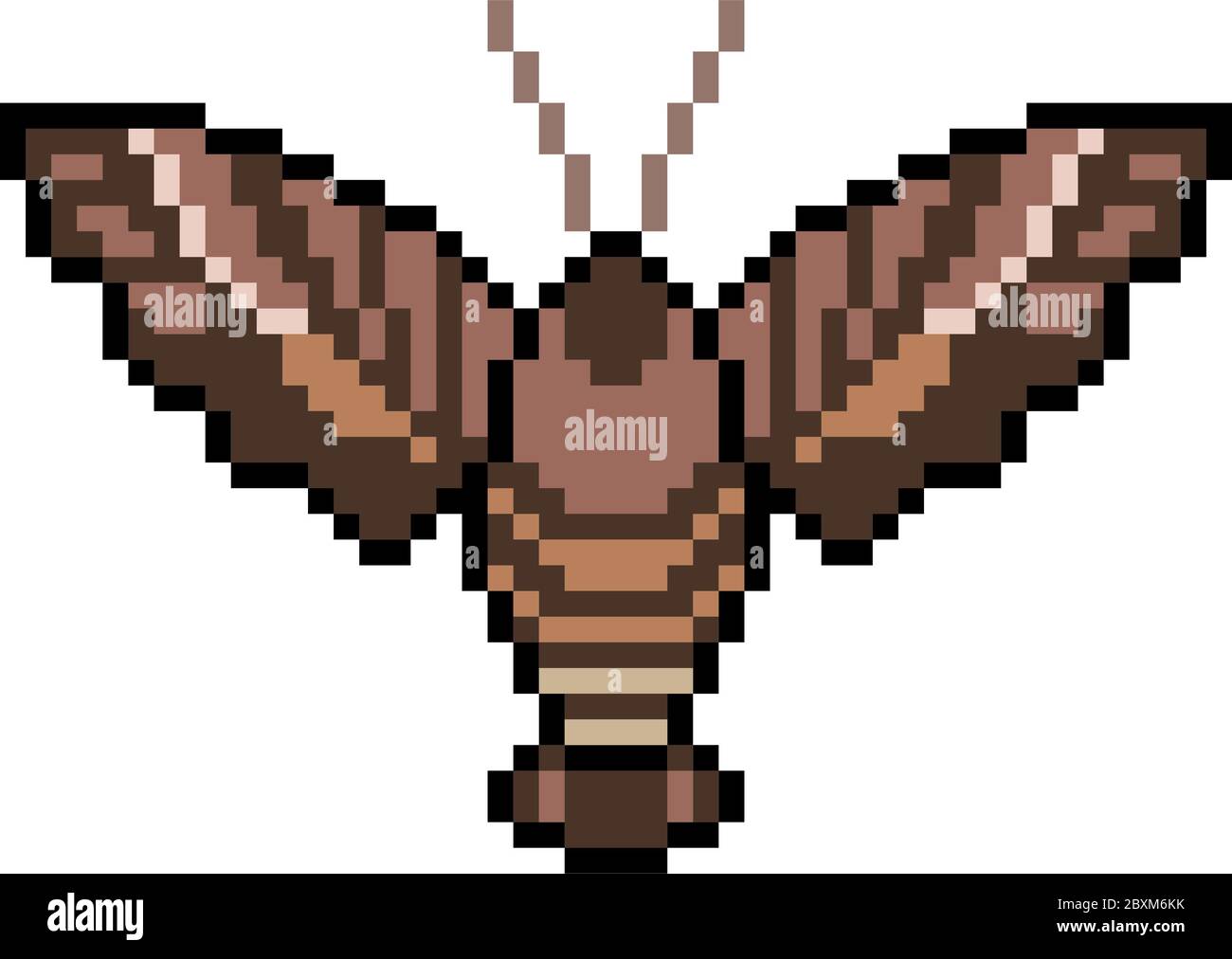 8 moth Stock Vector Images - Alamy