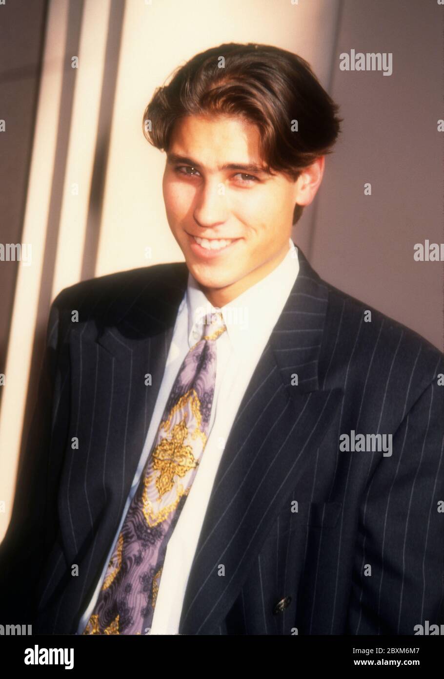 North Hollywood, California, USA 30th September 1995 Actor David Hanson ...