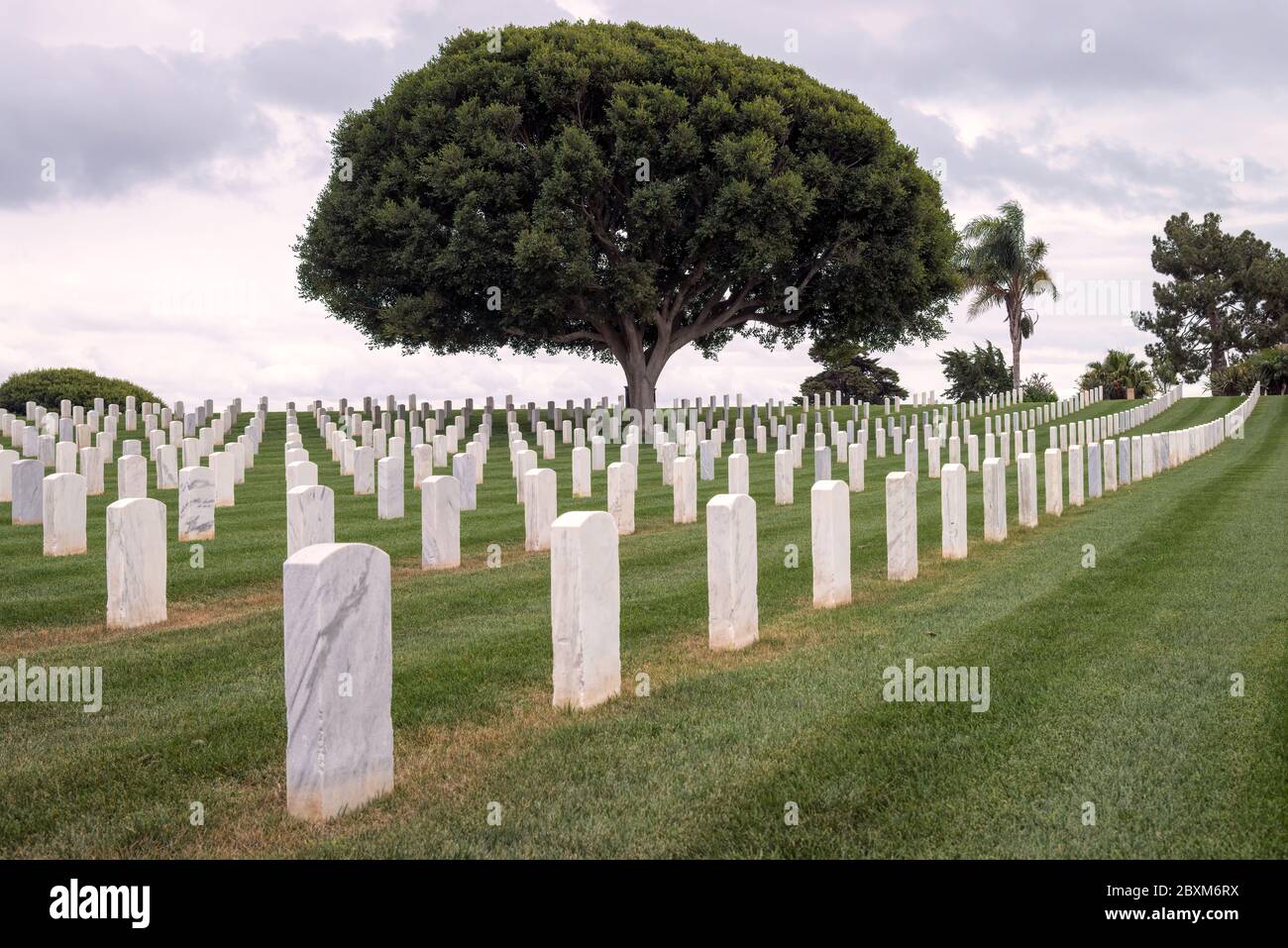 Tomb Under A Tree
