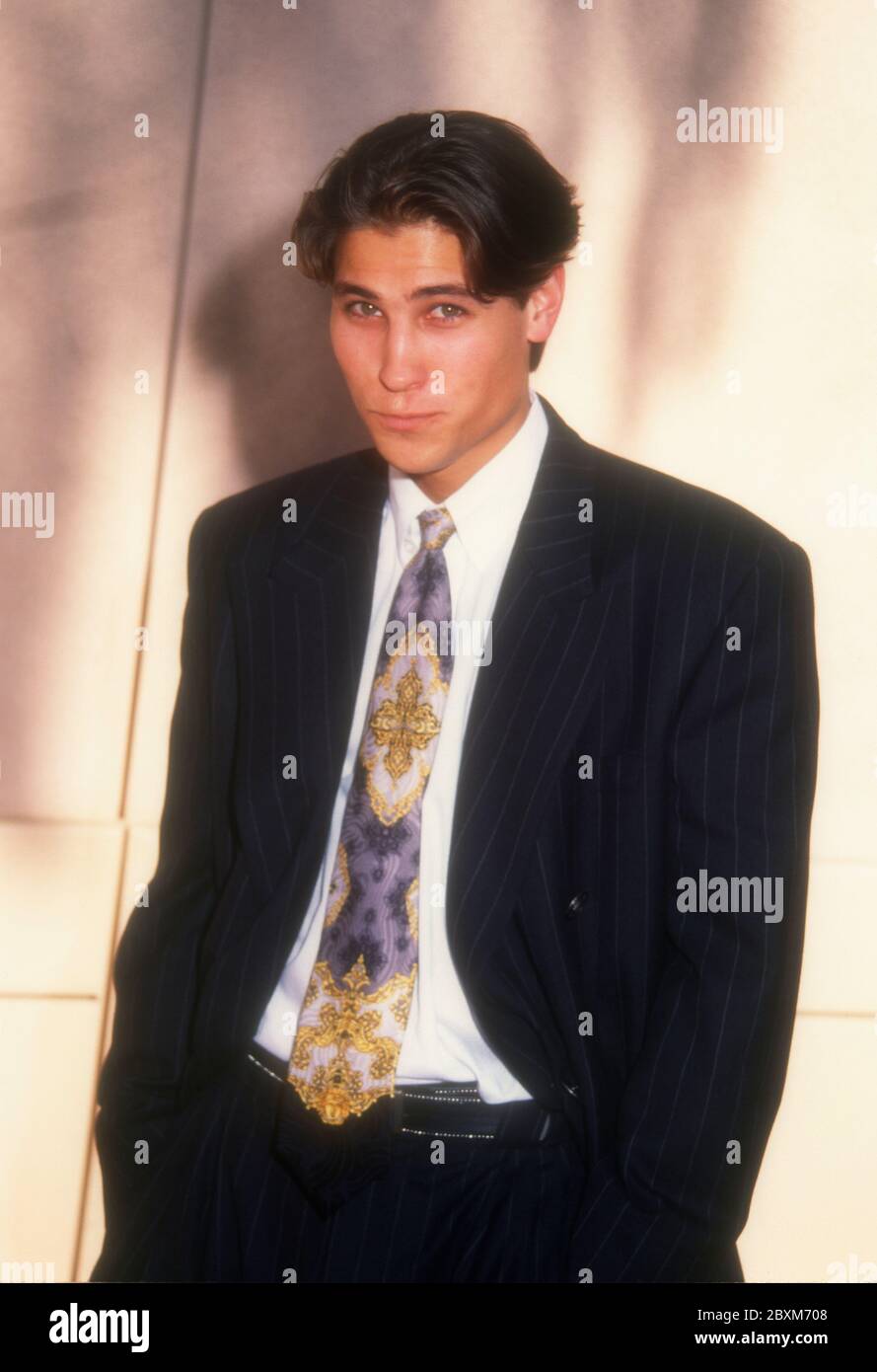 North Hollywood, California, USA 30th September 1995 Actor David Hanson ...