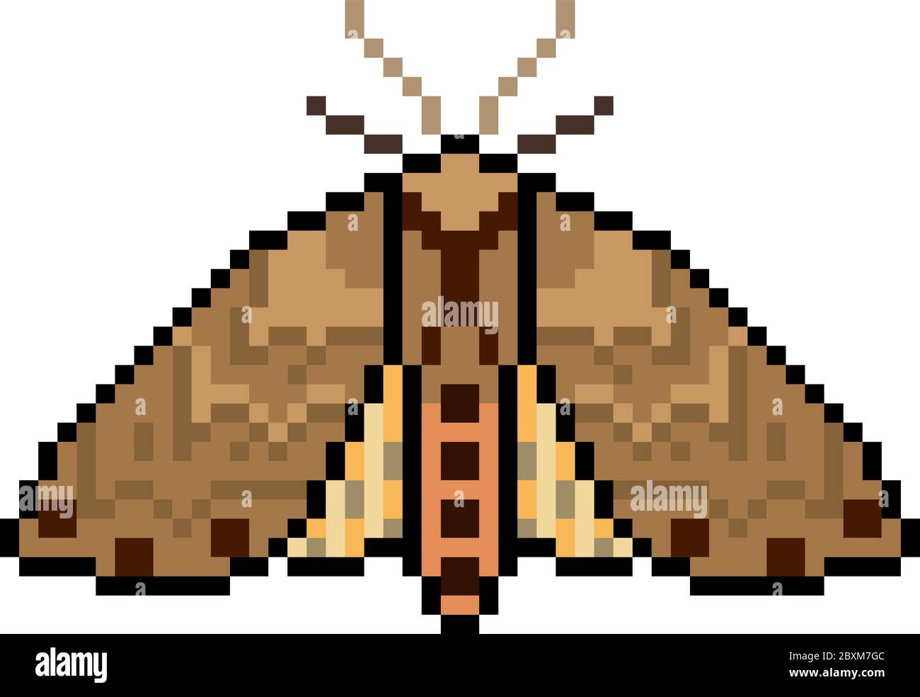 8 moth Stock Vector Images - Alamy