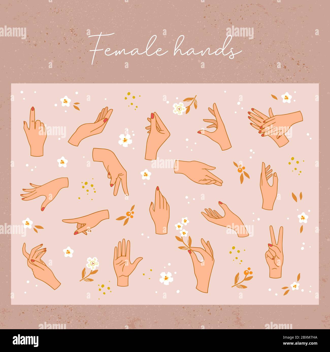 Vector pattern collection of womens hands with different gestures with ...