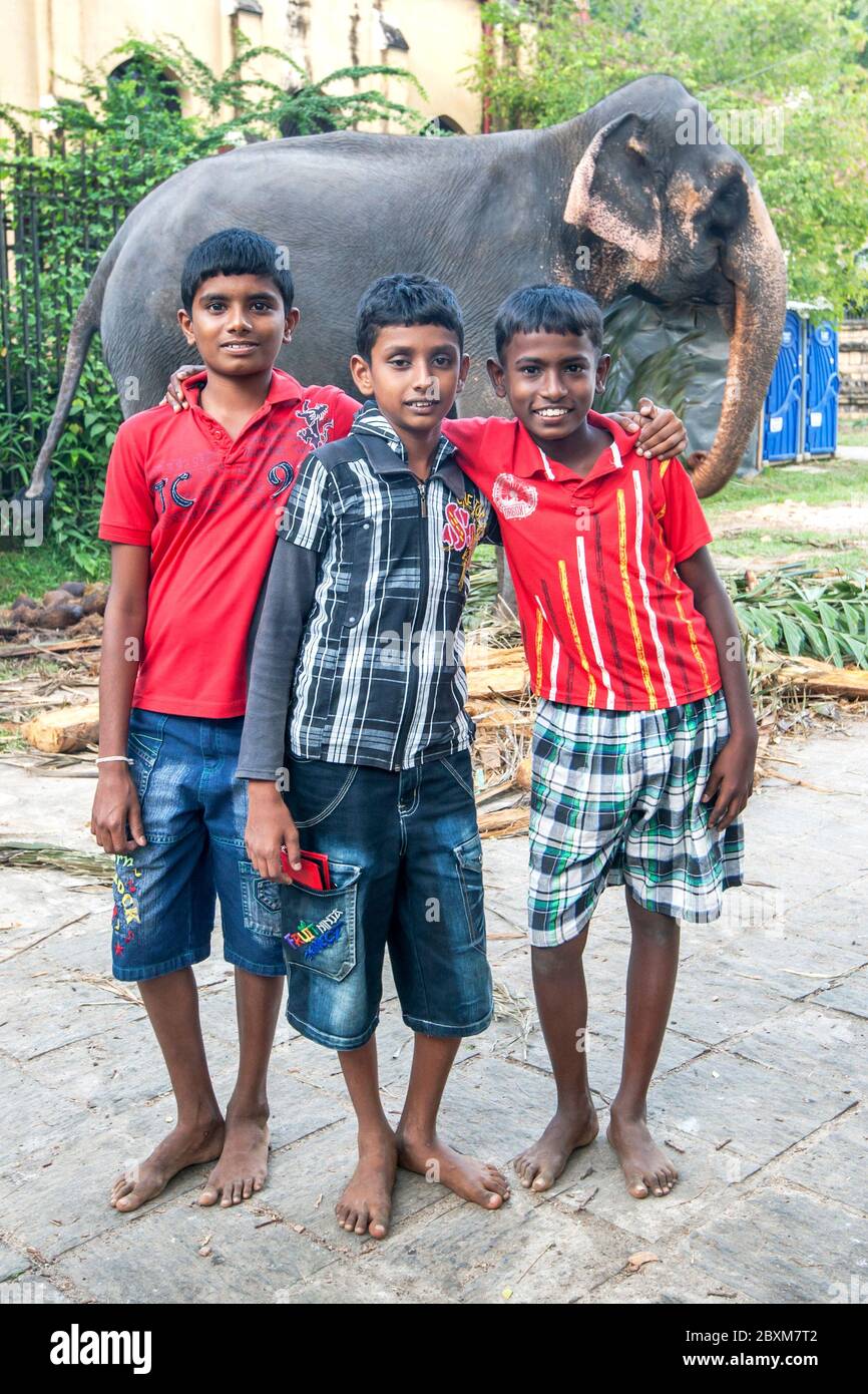 Boys stand in front of a ceremonial elephant within the Temple of the ...