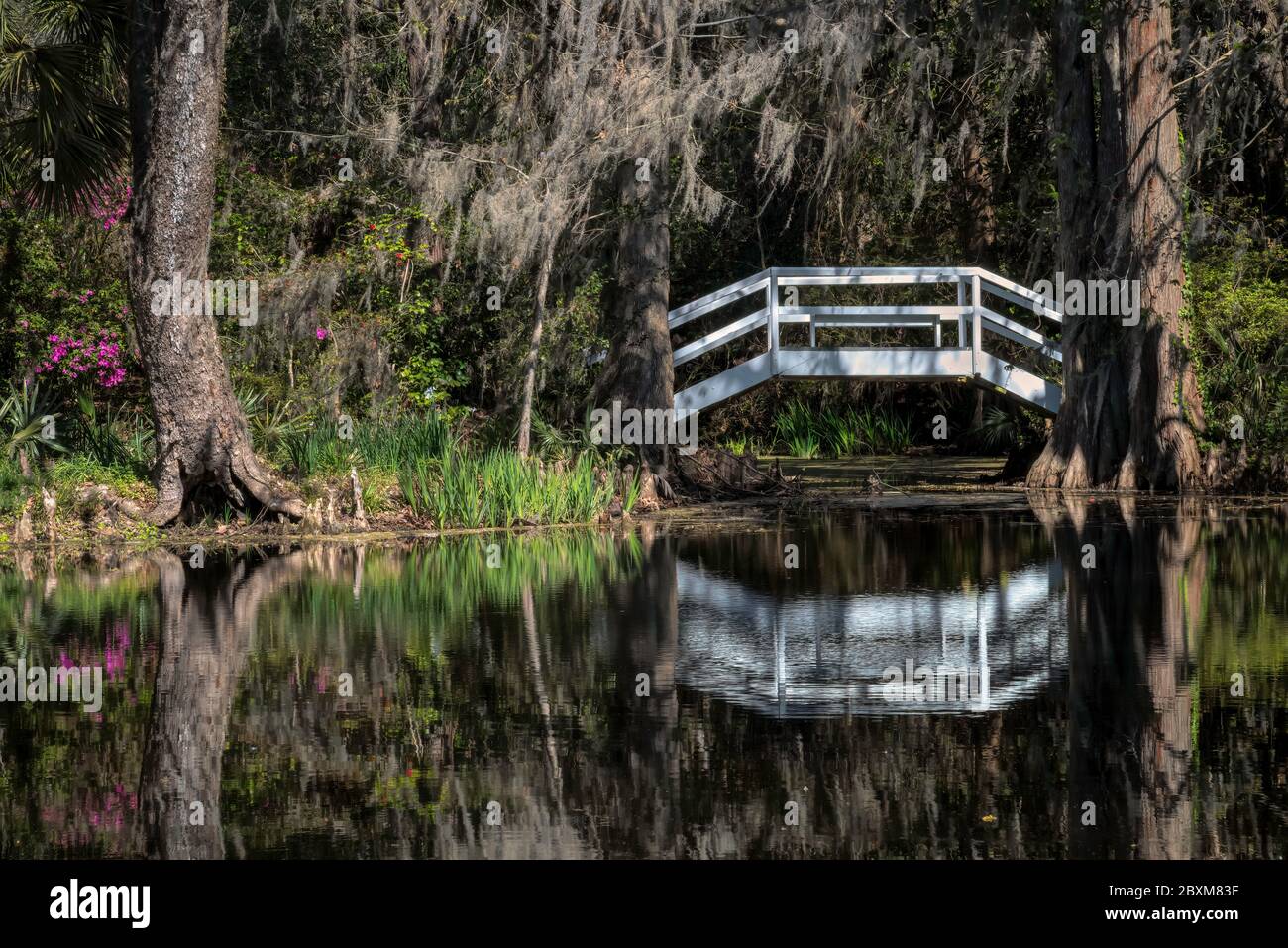 Moss Covered Bridge High Resolution Stock Photography and Images - Alamy