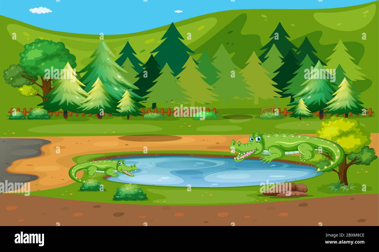 Colorful view pond in Stock Vector Images - Alamy