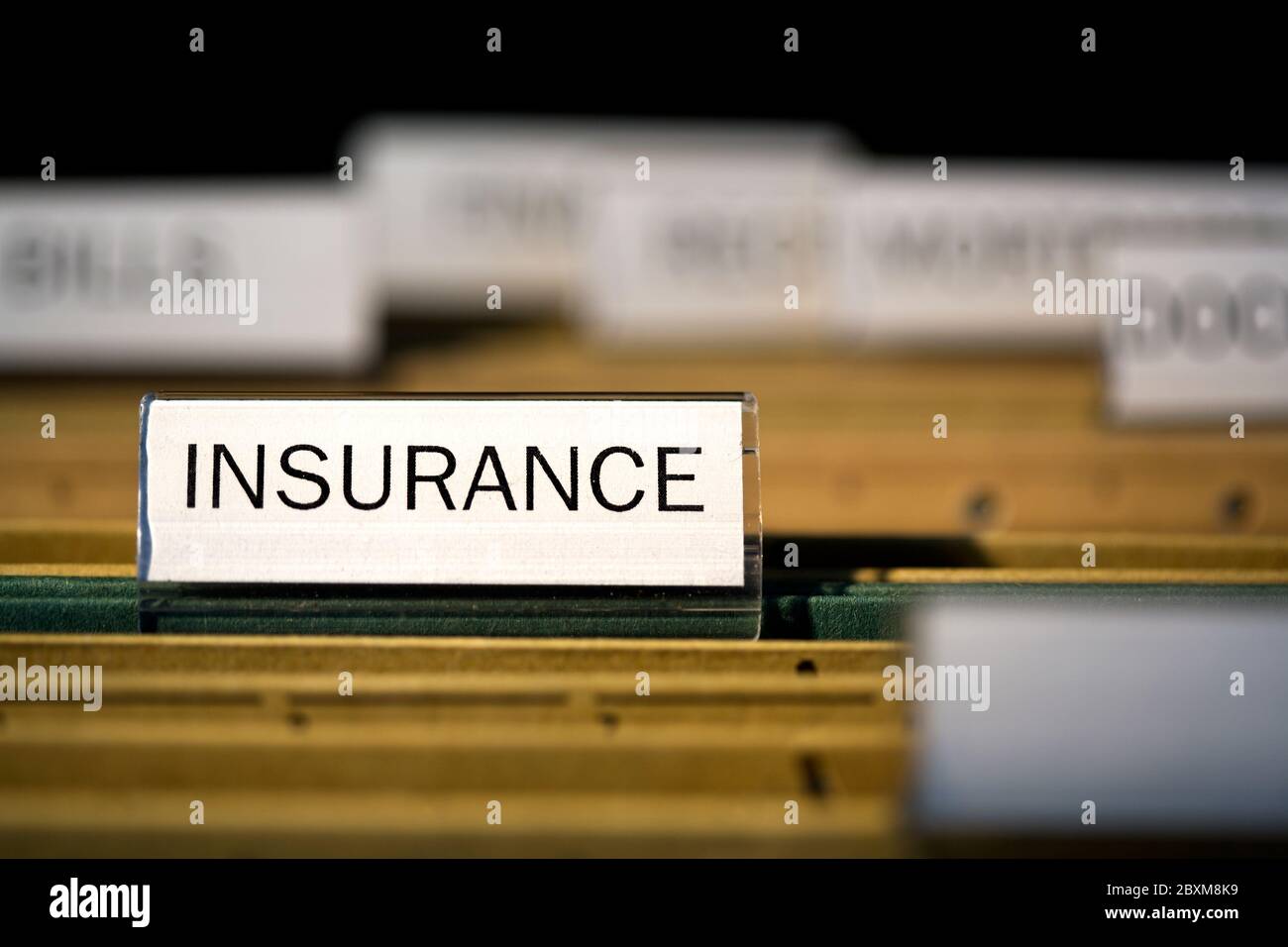 view inside filing cabinet with brown file folders, green folder with ...