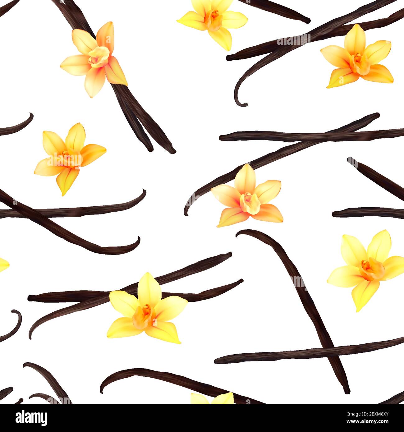 Vanilla pods plant Stock Vector Images - Alamy