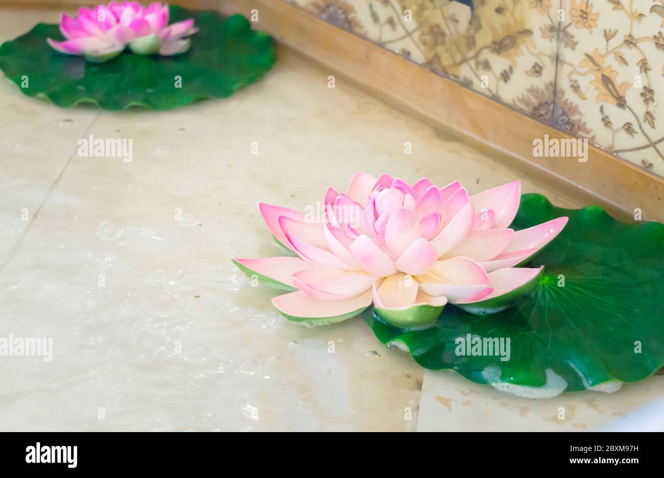 Two pink lotus flowers with green leaves on water in fountain Stock ...
