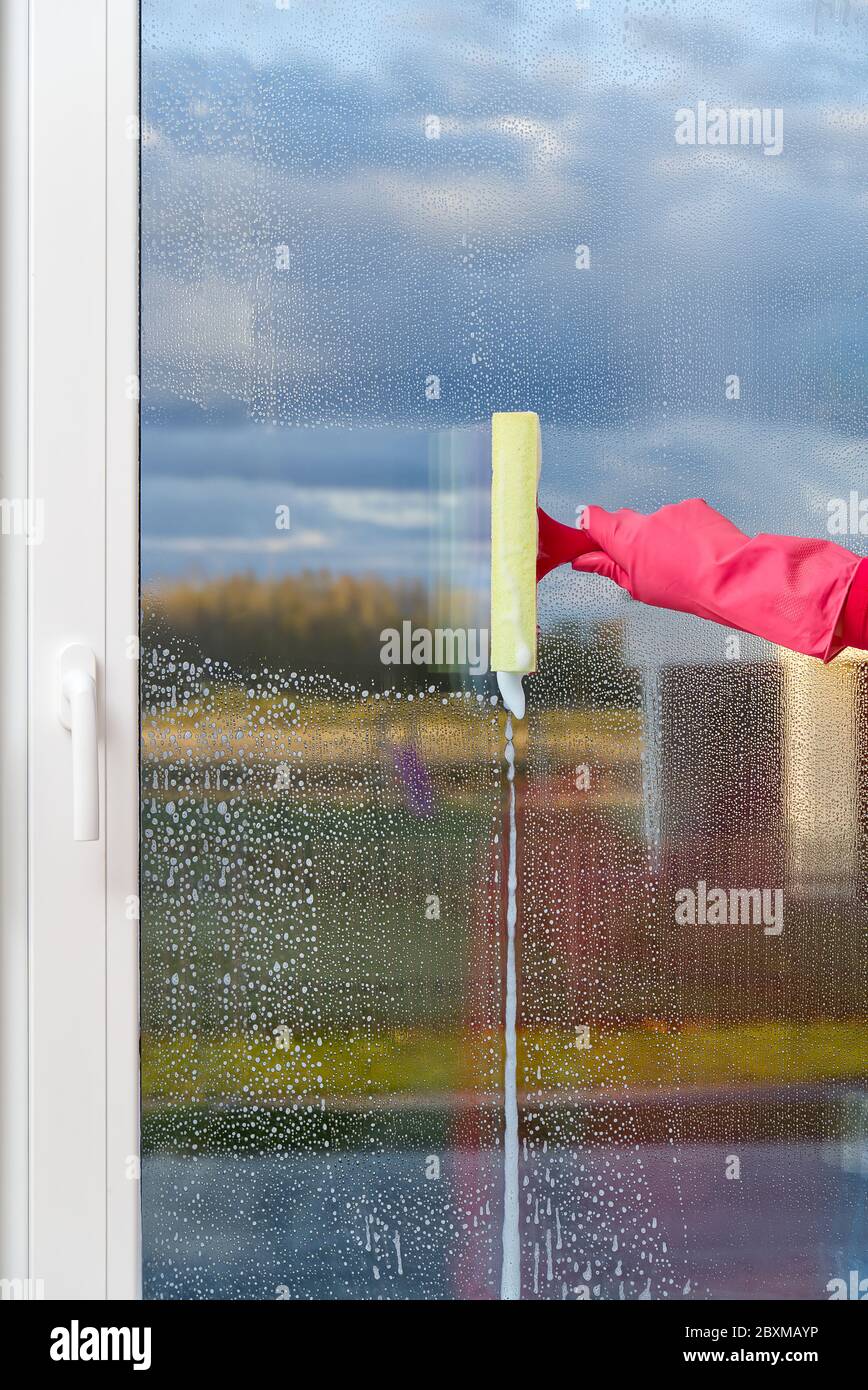 attractive wife washing a window. Gloved hand cleaning window rag and ...