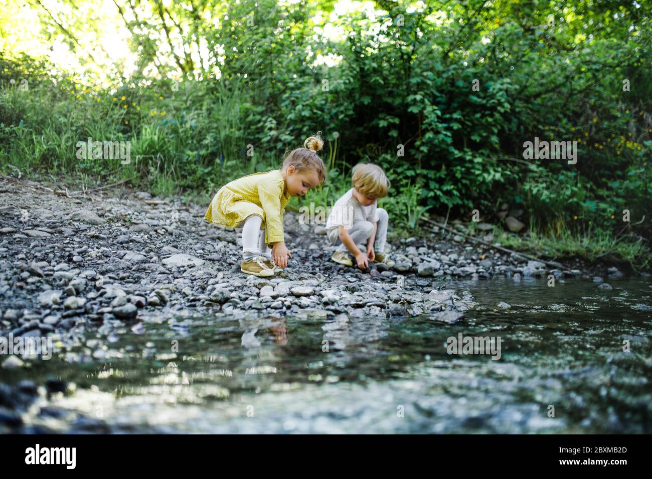 Small boy and girl playing with rocks by stream in nature Stock Photo ...