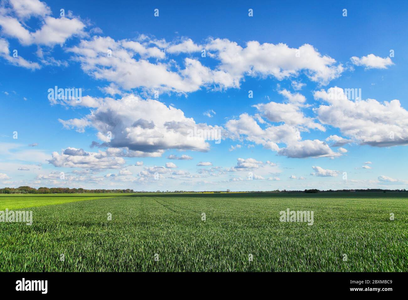 Green field with blue sky and clouds Stock Photo - Alamy