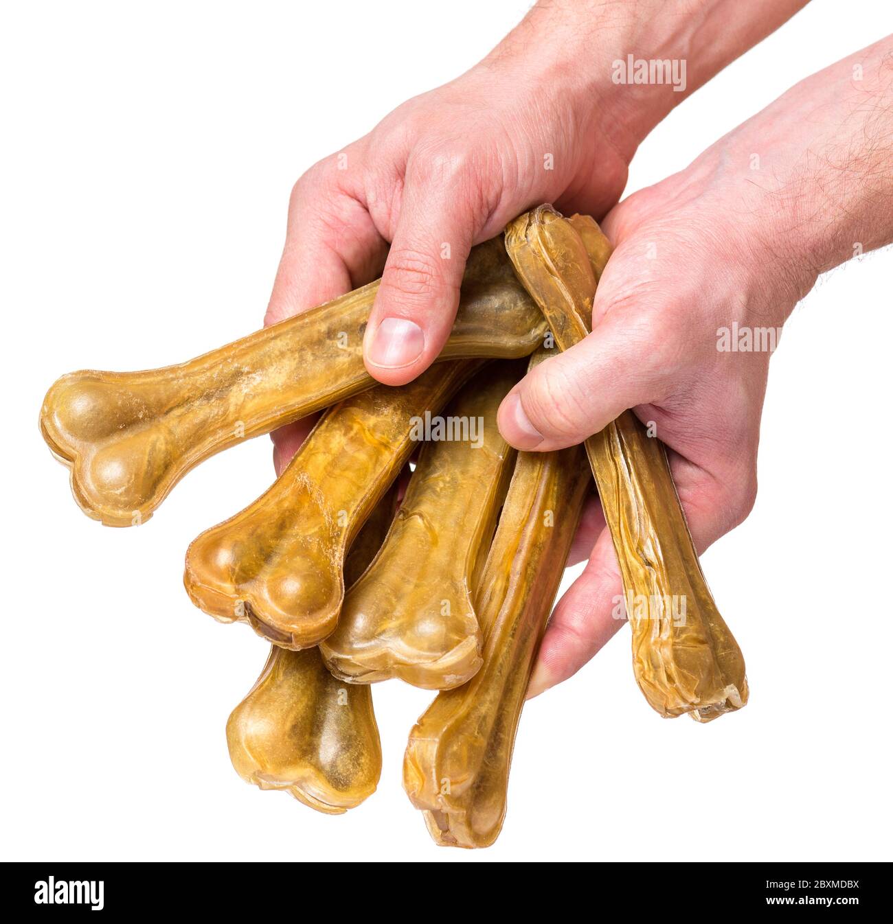 Hand with dog bone Stock Photo - Alamy