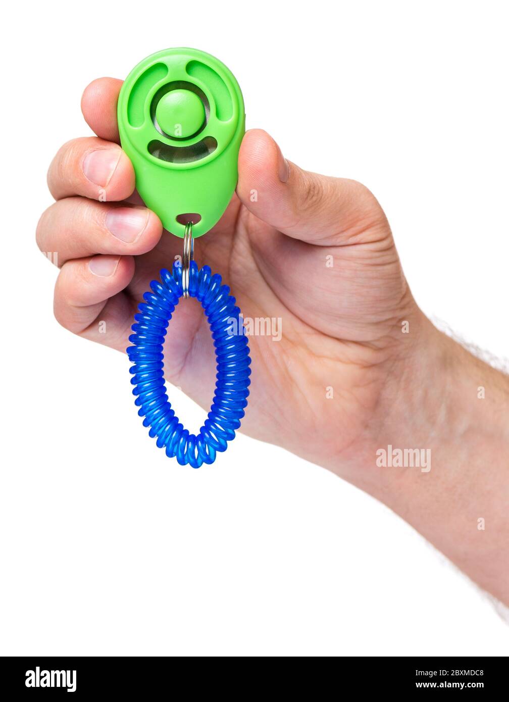 Hand with dog clicker on white Stock Photo - Alamy