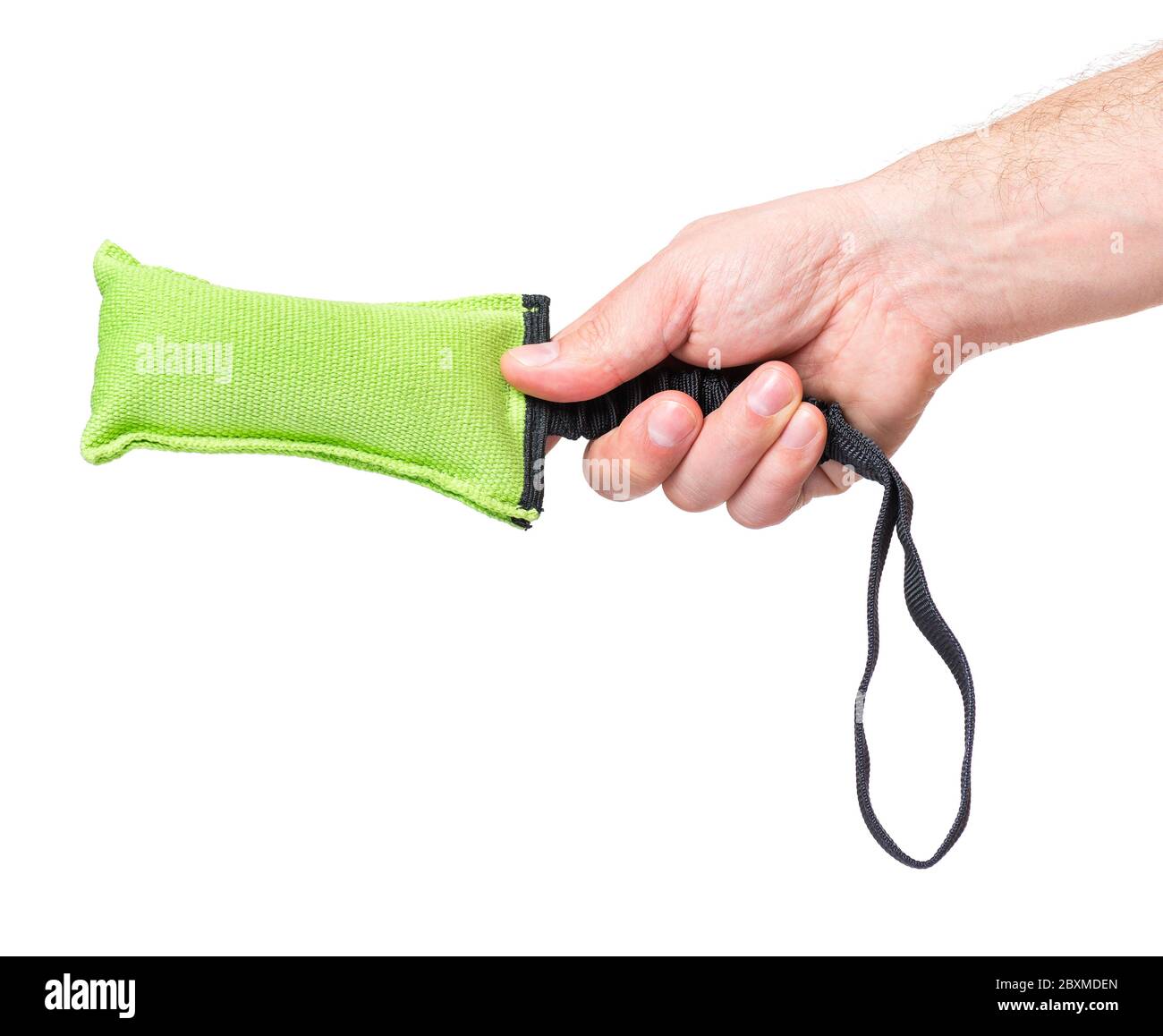 Hand with dog toy Stock Photo - Alamy