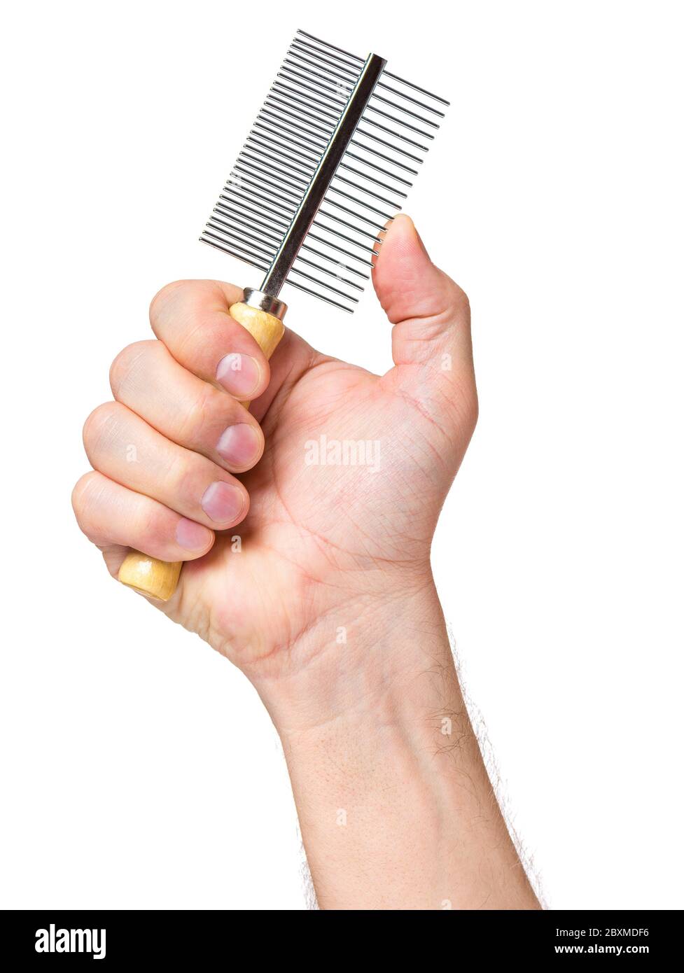 Hand with dogs grooming brush Stock Photo - Alamy
