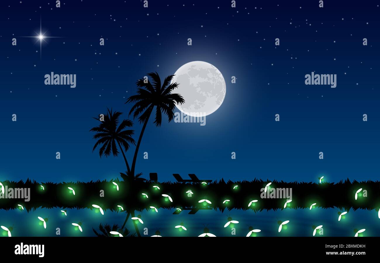 firefly at the swamp on mountain in the full moon night Stock Vector ...
