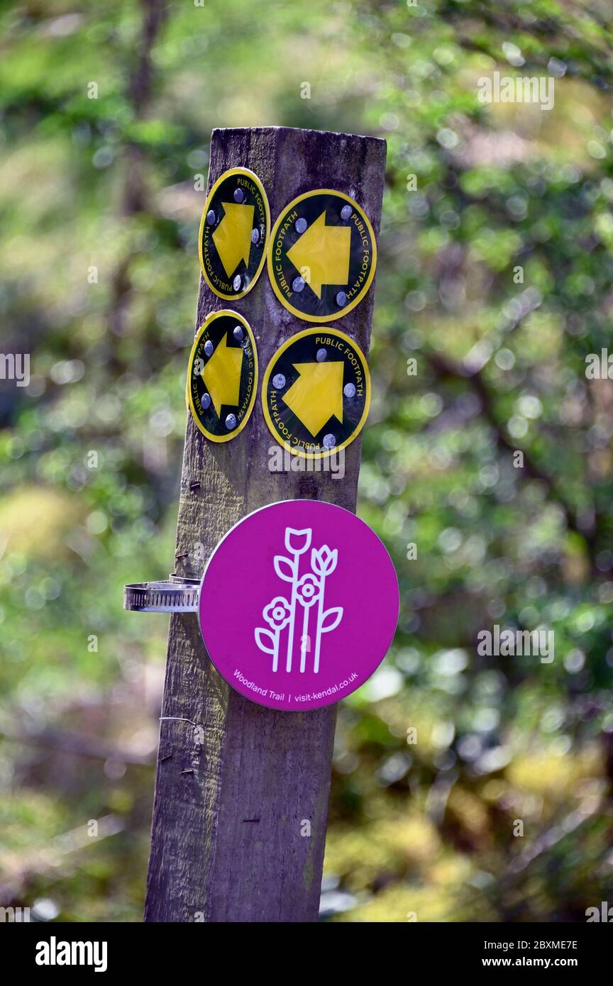 Public Footpath Waymark Post. Woodland Trail, Serpentine Woods ...