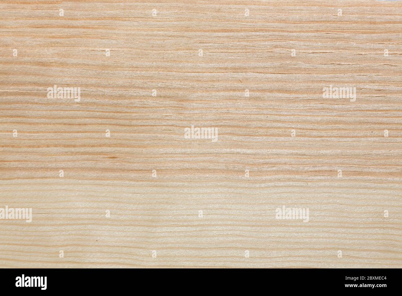 Precise pine veneer texture in admirable beige tone Stock Photo - Alamy