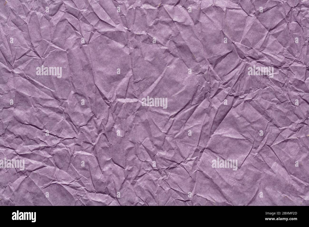 Crumpled paper background in beautiful violet color for your greeting ...