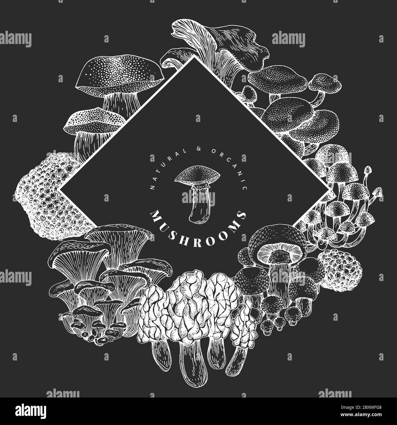 Hand drawn mushroom design template. Vector illustrations on chalk ...