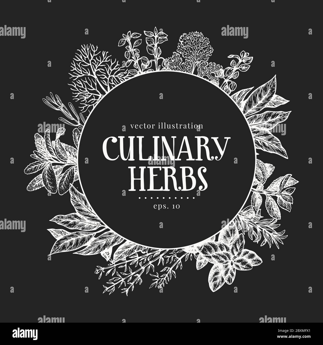 Hand drawn culinary herbs design template. Vector illustrations on ...