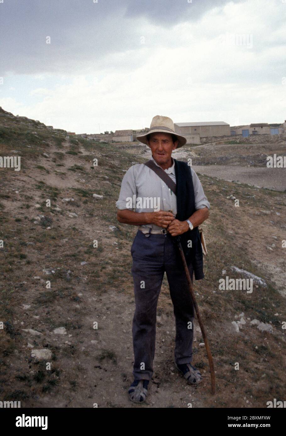 Person sheep shepherd spain hi-res stock photography and images - Alamy