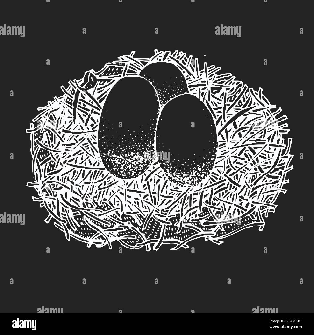 Hand drawn eggs in nest illustration. Vector farm sketch on chalk board ...