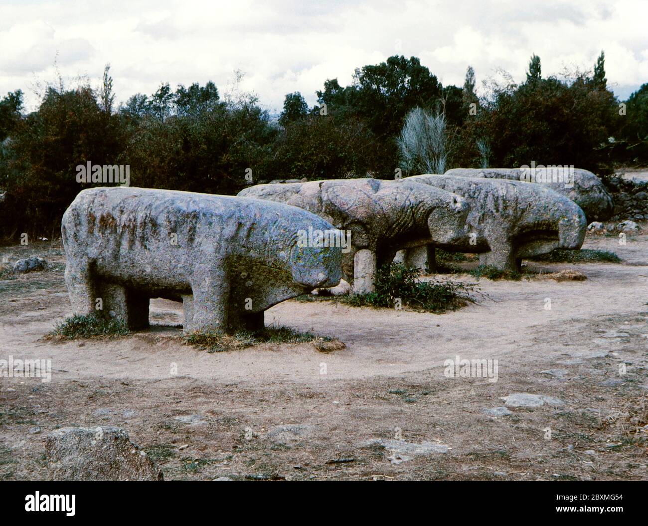 Celtiberian hi-res stock photography and images - Alamy