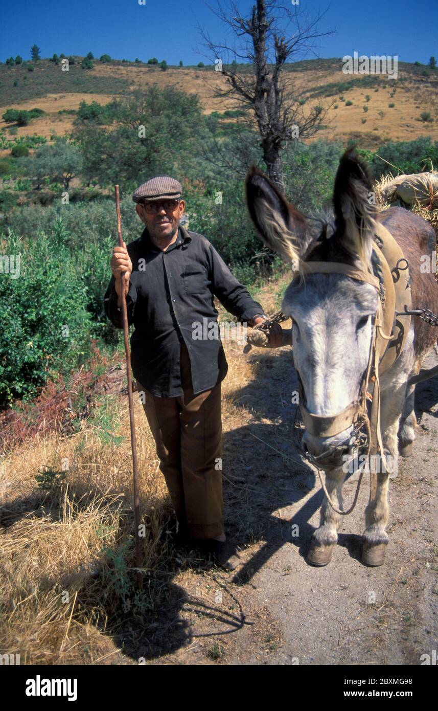 Man mule spain hi-res stock photography and images - Alamy
