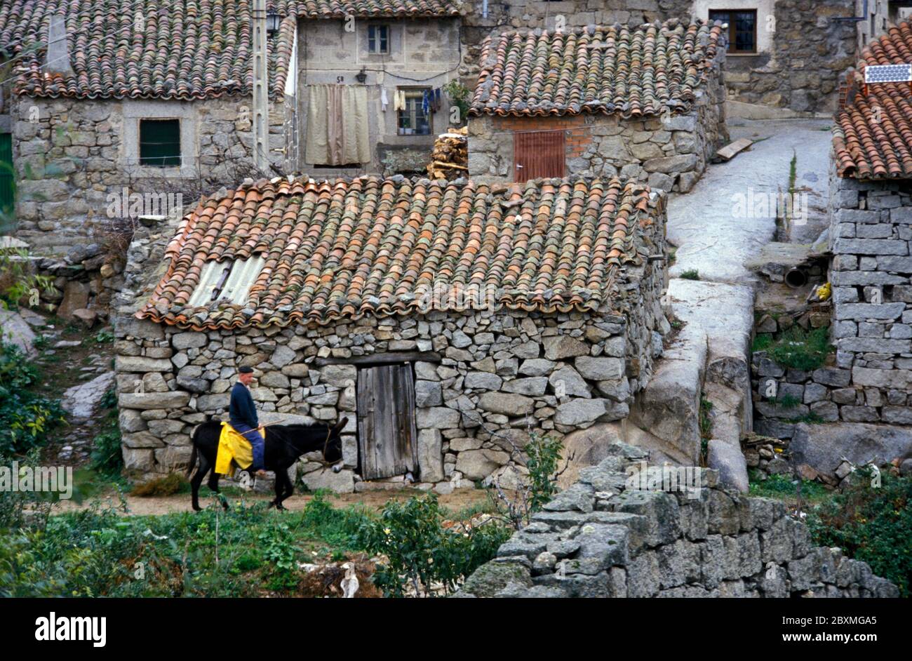 Man riding a mule hi-res stock photography and images - Alamy