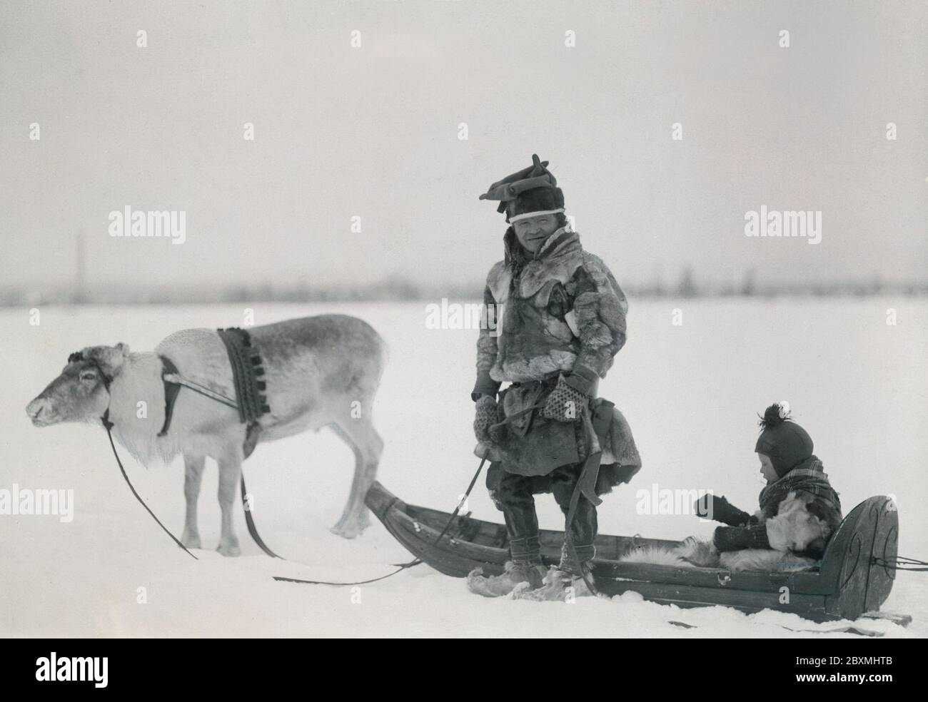 Sami people in Swedish Lapland 1910. A man with his reindeer that pulls ...
