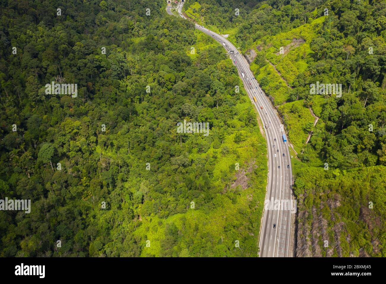 Cutting through jungle hi-res stock photography and images - Alamy