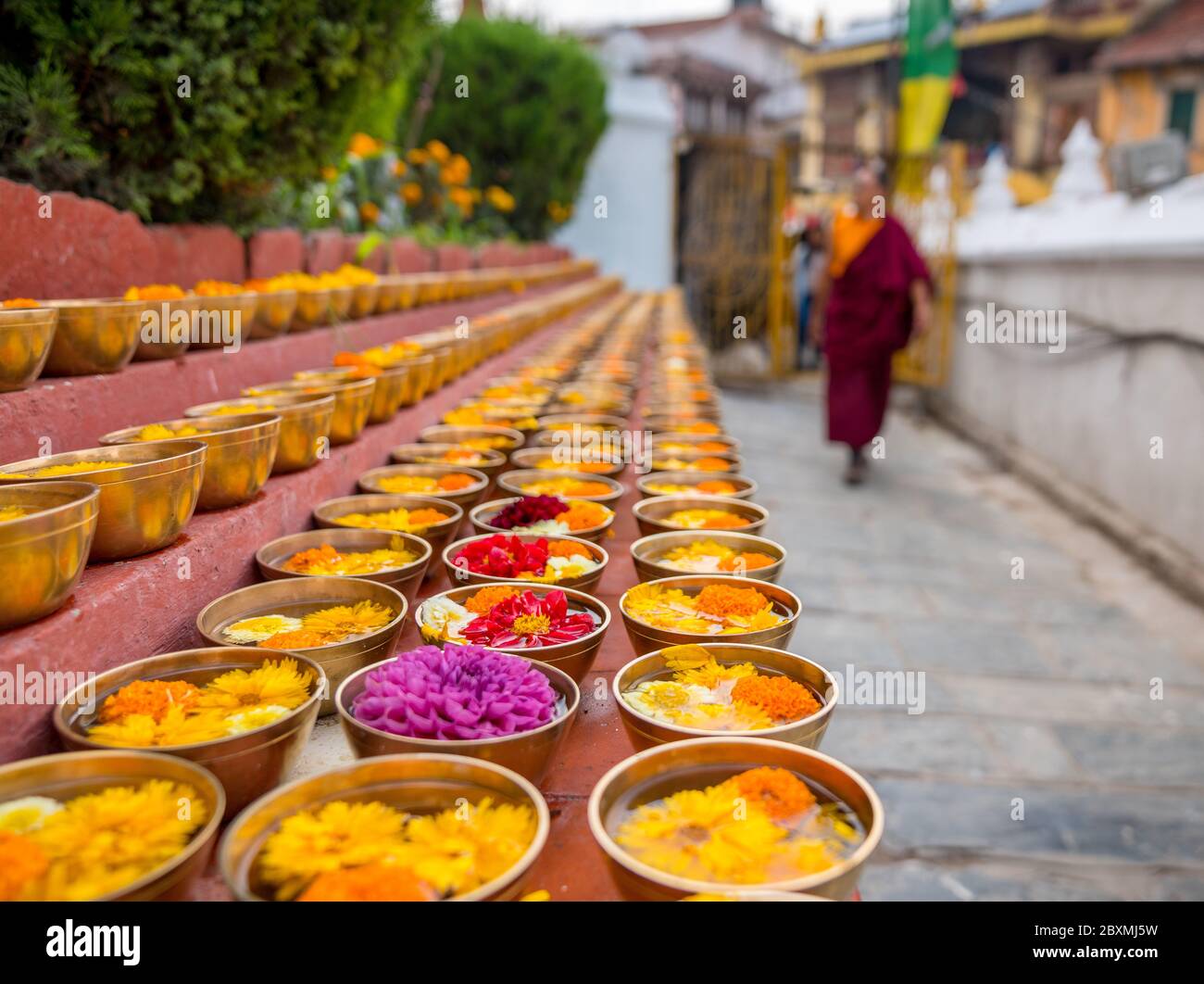 Buddhist flower offerings or gifts in bowls and rows. Buddhism religion ...