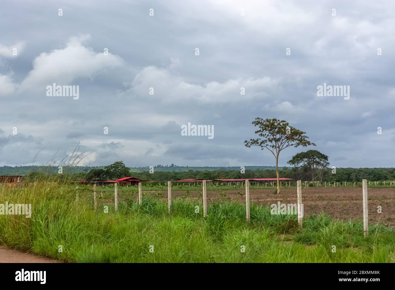 View of a farm in Africa and typical tropical landscape, trees and ...