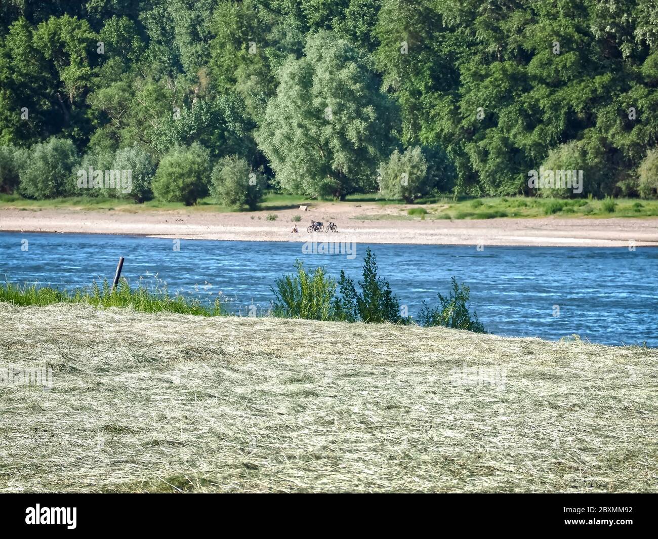 Beautiful nature at Rhine river in Germany Stock Photo - Alamy