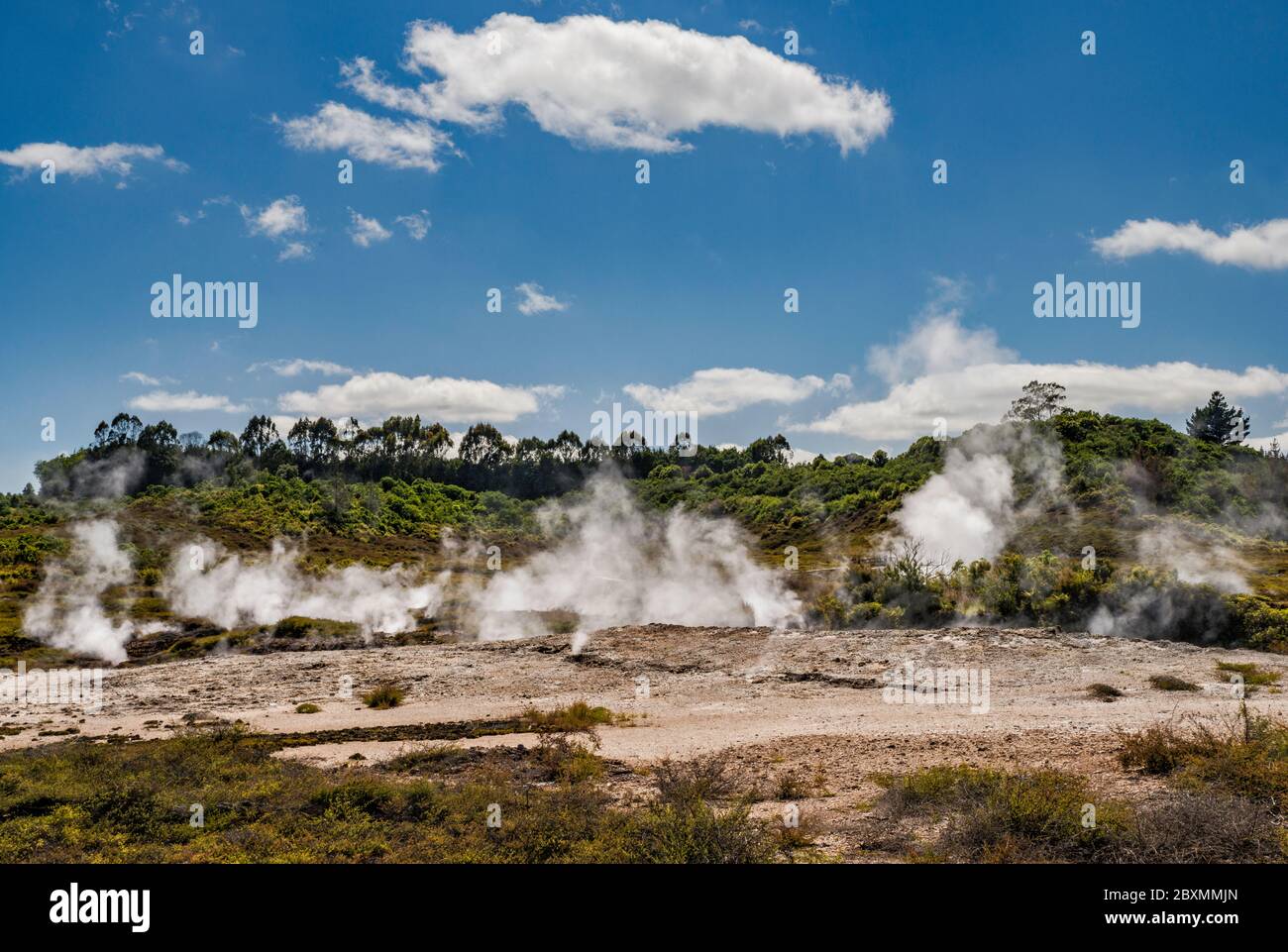 Fumarole field at Craters of the Moon Thermal Area, Waikato Region ...