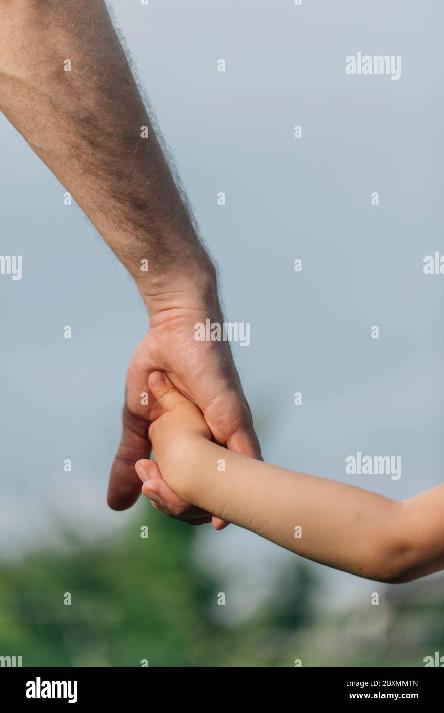 Father's hand lead his child in summer nature outdoor, trust family ...