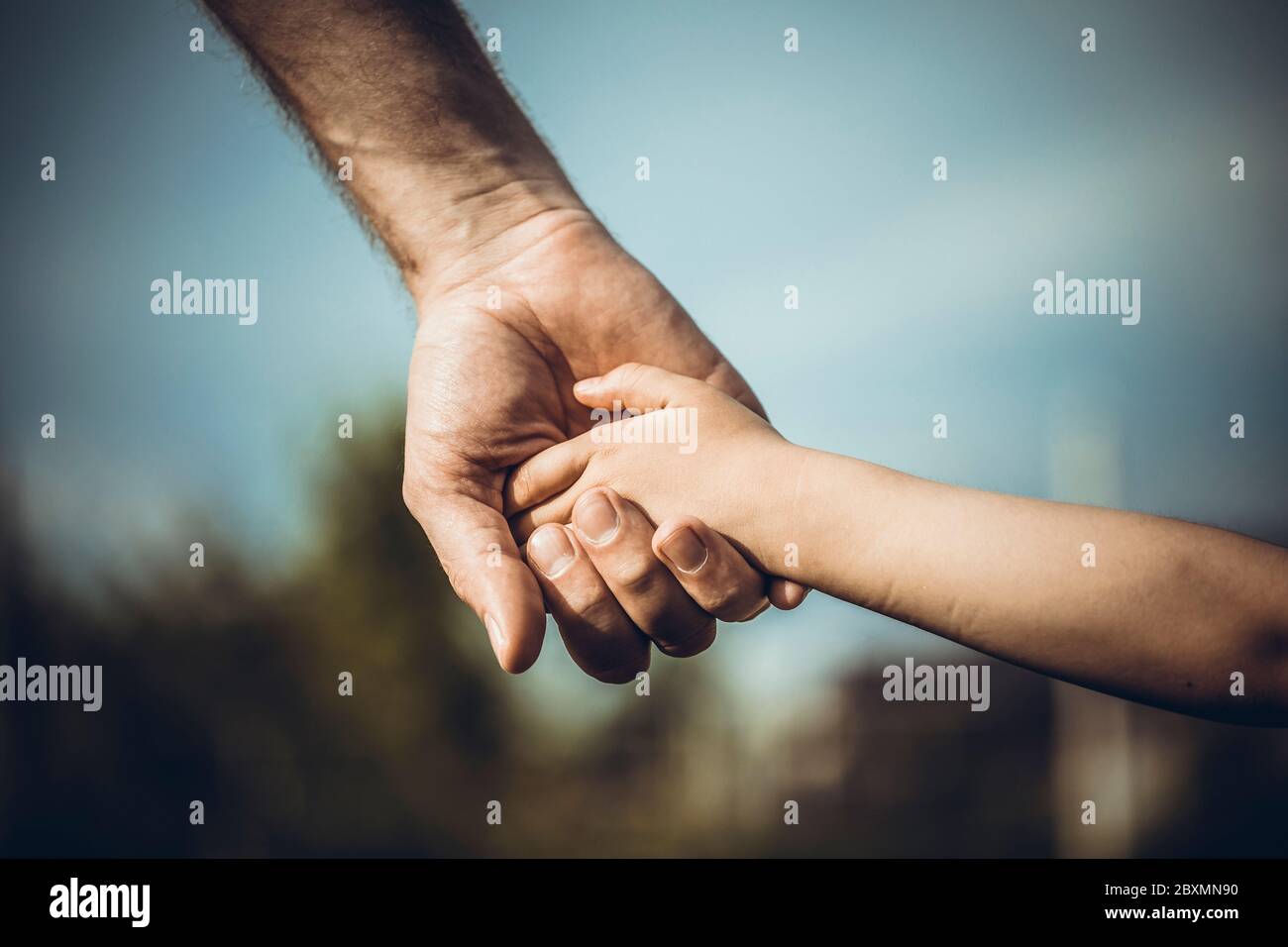 Father's hand lead his child in summer nature outdoor, trust family ...