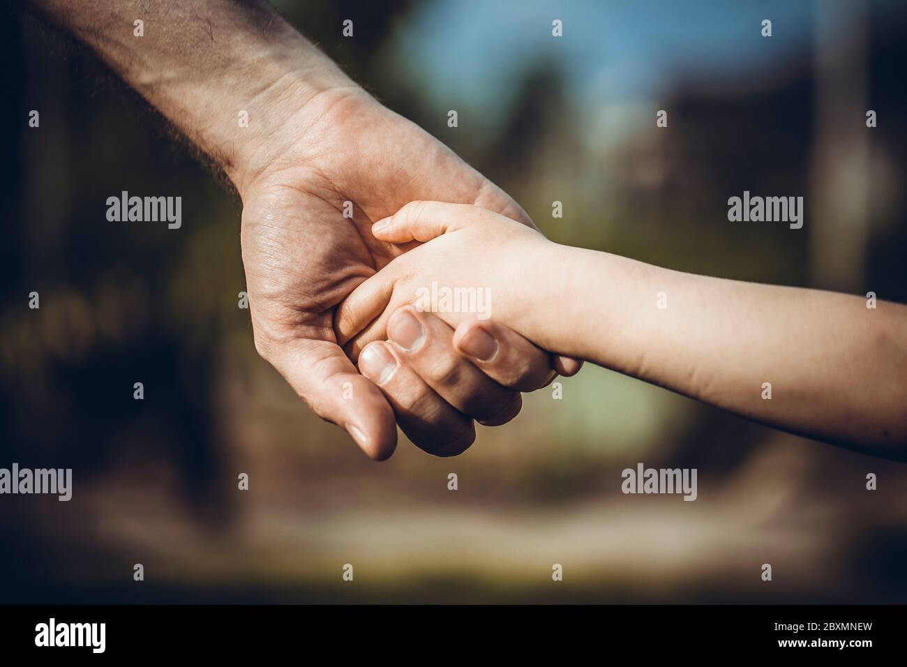 Parent holding the hand of a small child. Father's hand lead his child ...