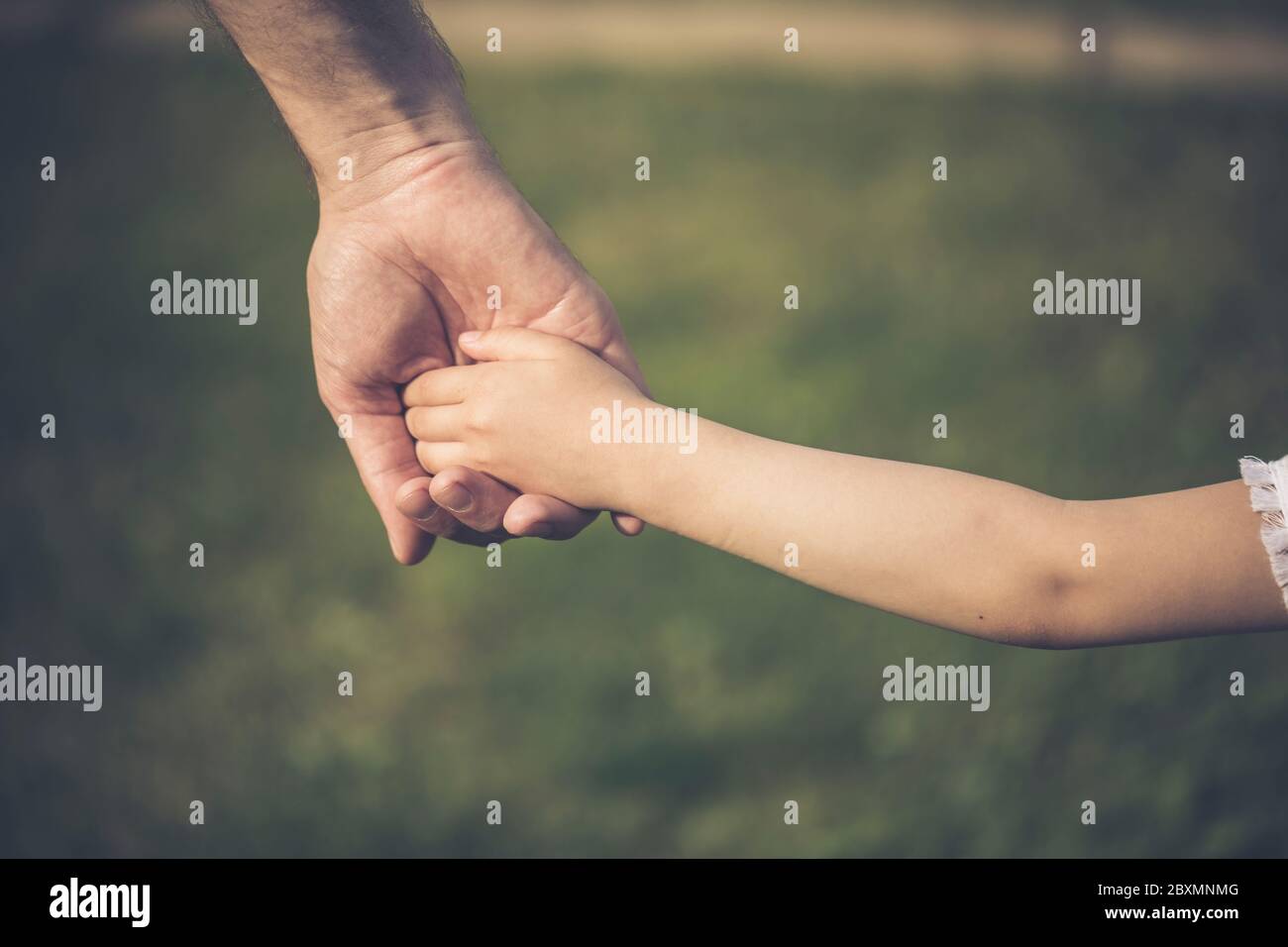 Parent holding the hand of a small child. Father's hand lead his child ...