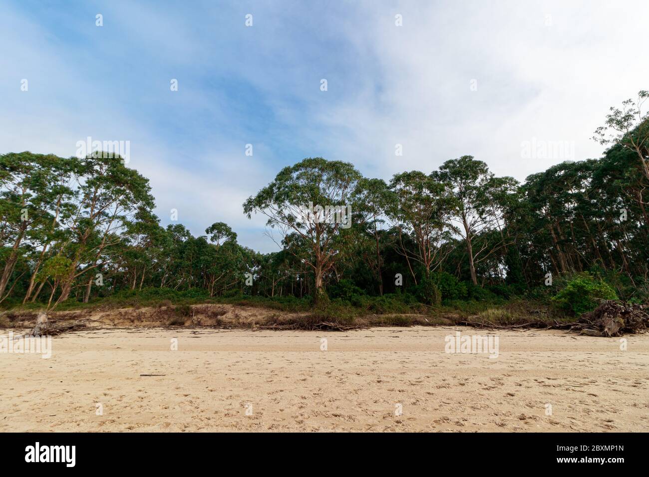Laredo view hi-res stock photography and images - Alamy