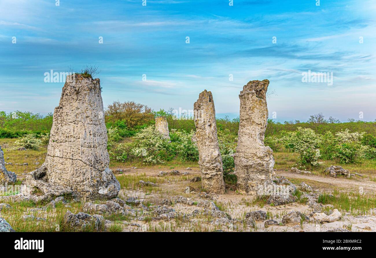 Stone blocks in a sand dune Stock Photo - Alamy