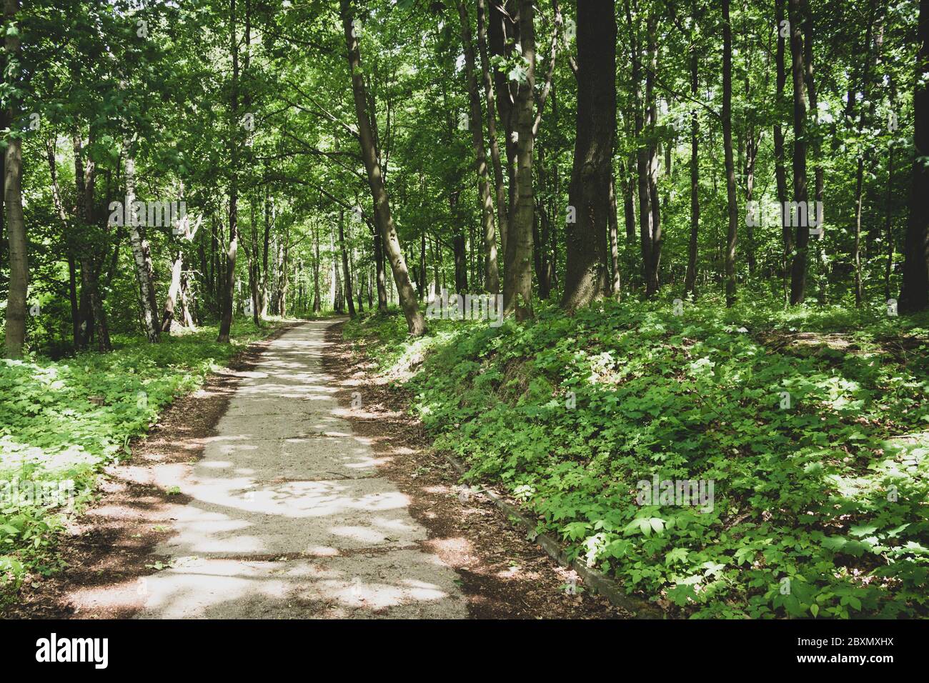 Simple footpath hi-res stock photography and images - Alamy