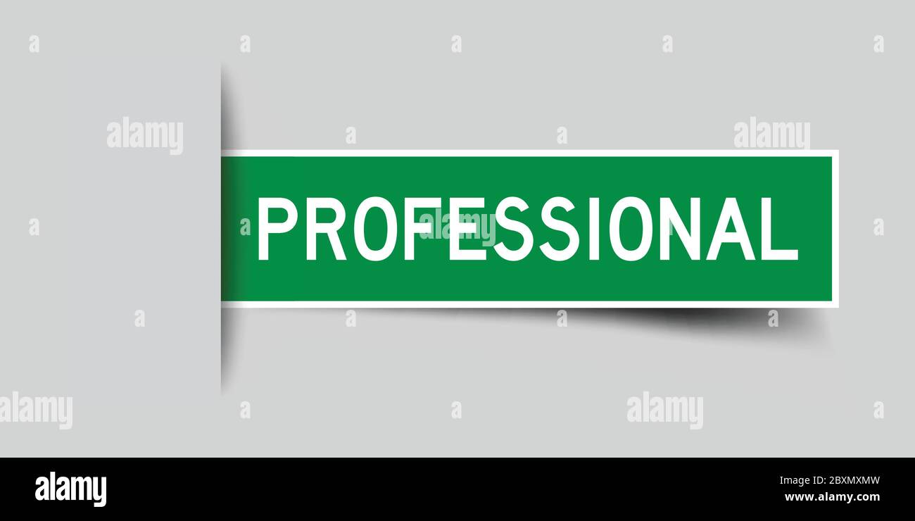 Professionalism vector vectors hi-res stock photography and images - Alamy