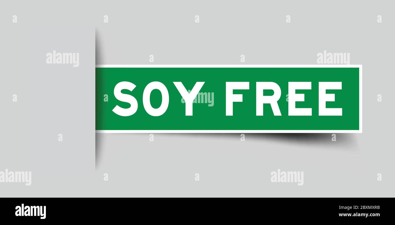 Square seal green color sticker in word soy free insert on gray ...