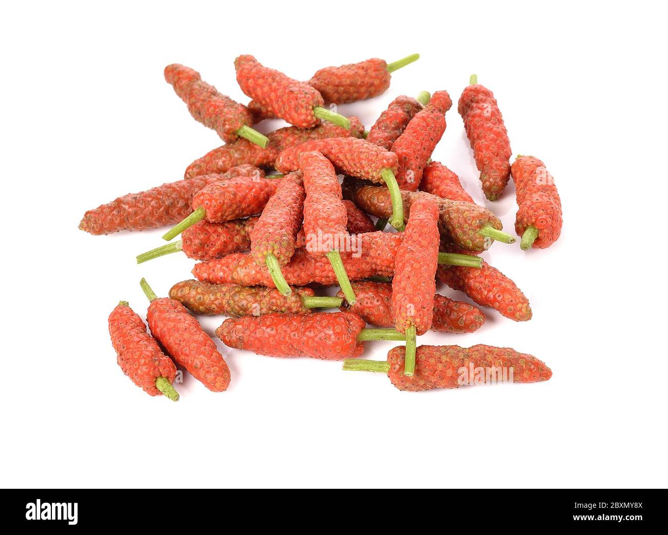 Long Pepper isolated on white background Stock Photo - Alamy